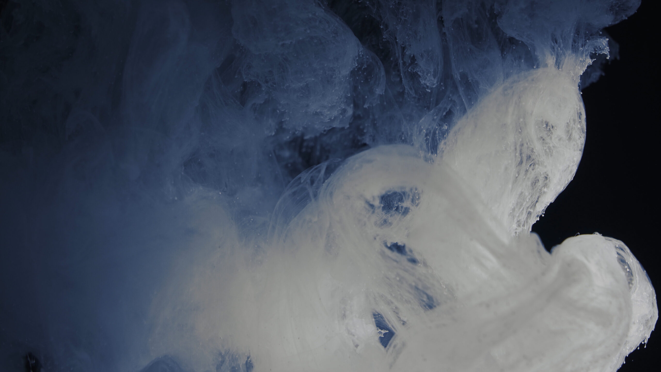 Leviathan - Story Loop