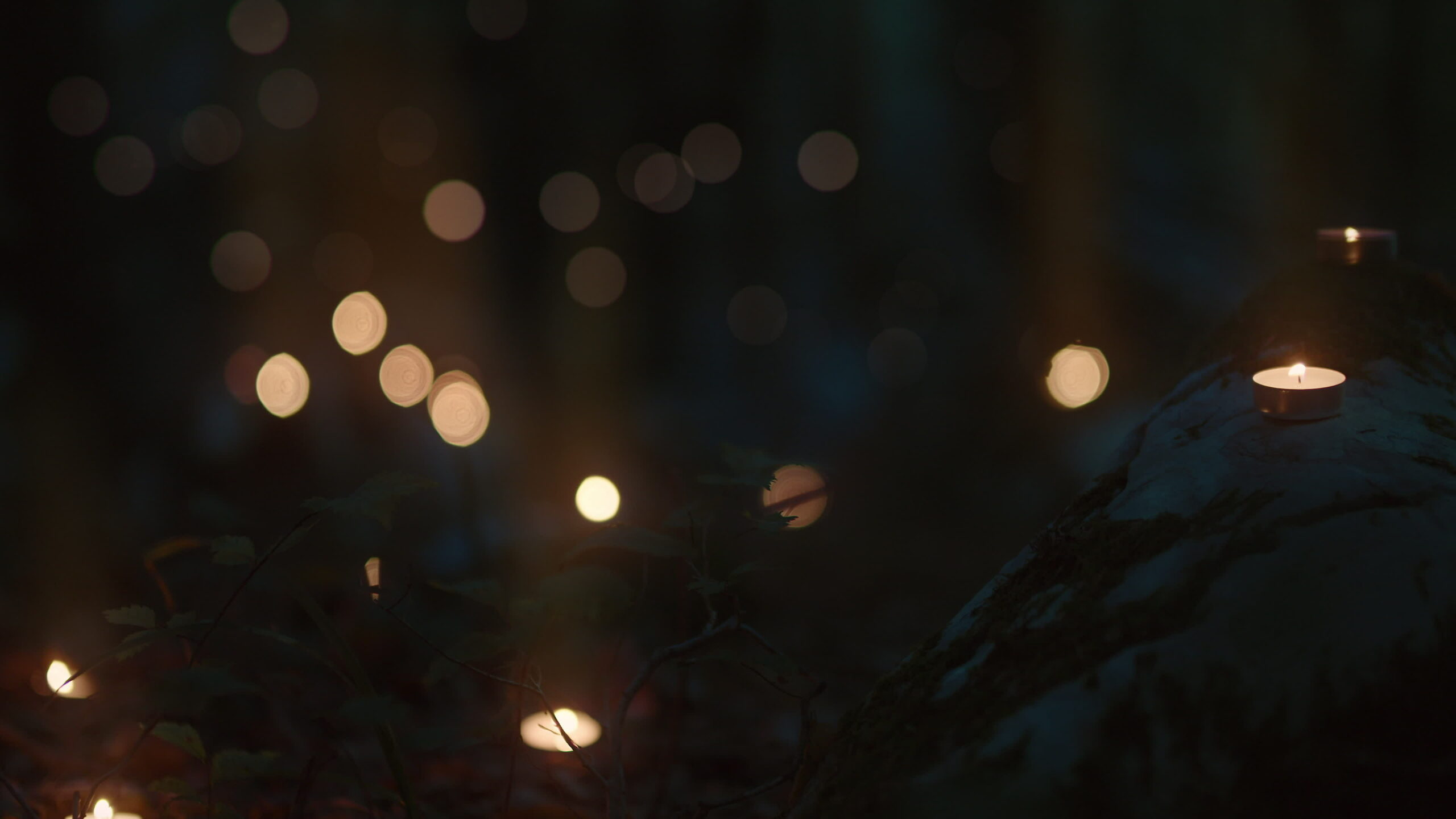 Nature Aerial Motion Backgrounds - Story Loop