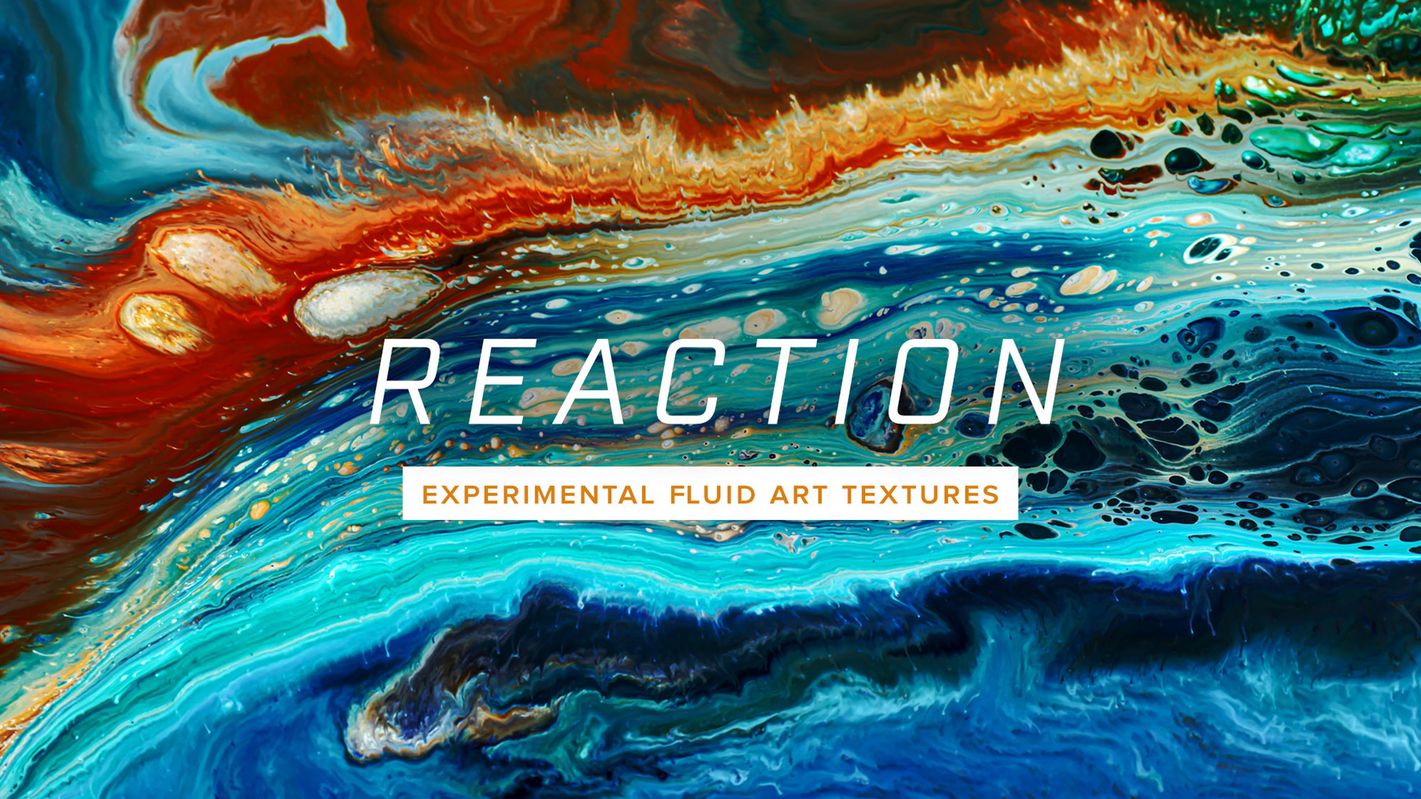 Reaction - Creator Resource | Story Loop