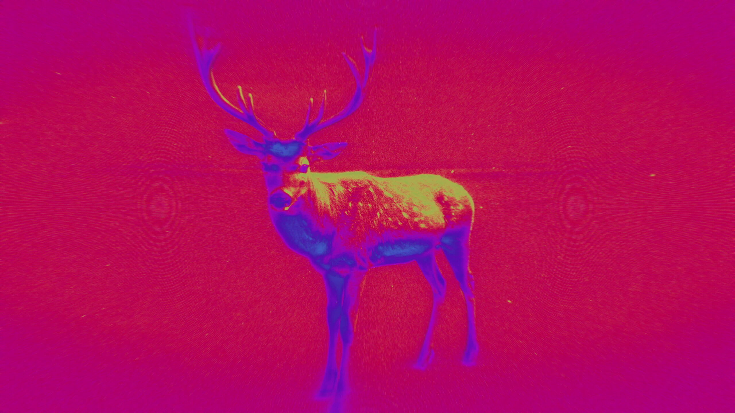Deer Color Map