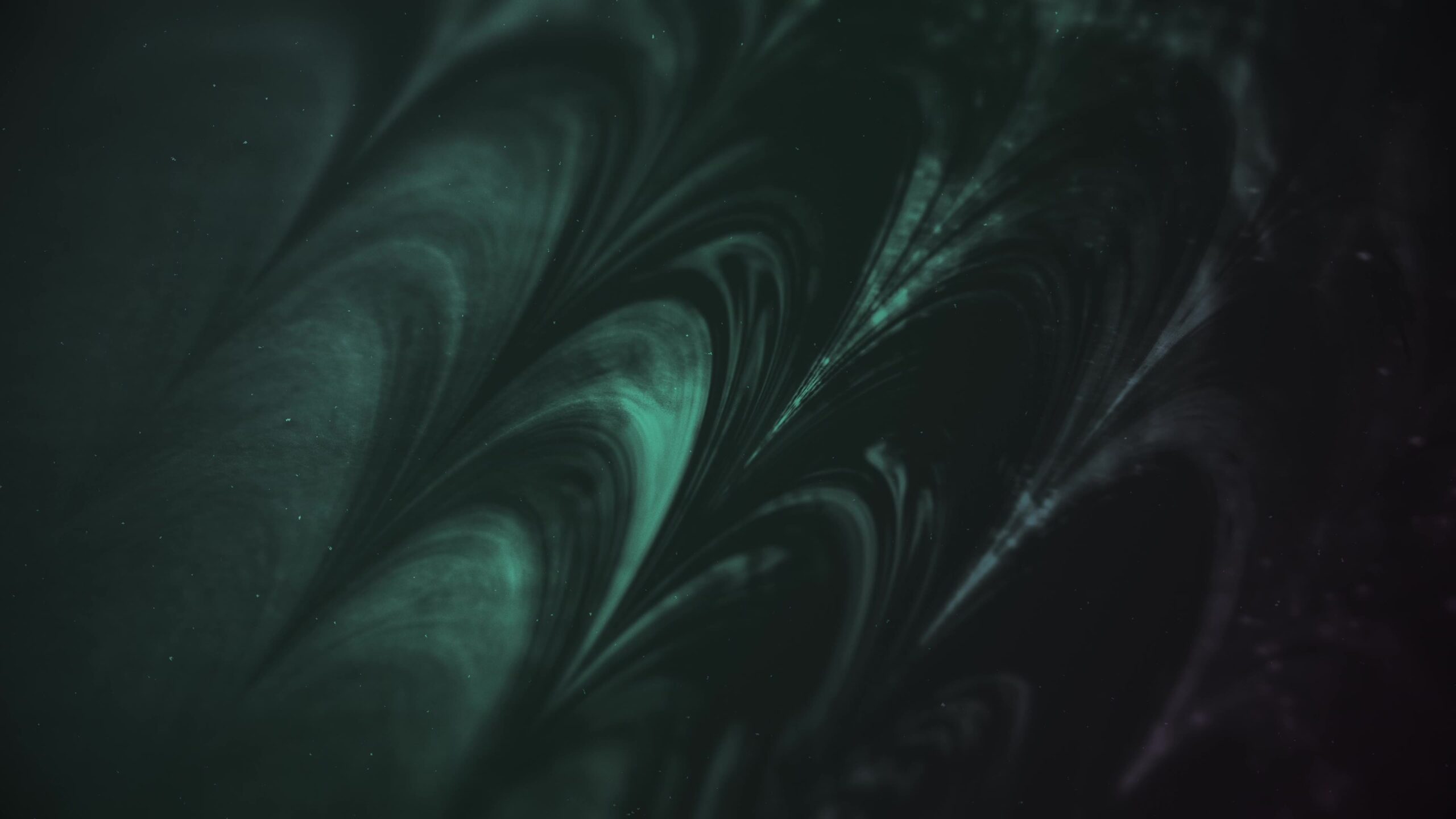 Dark-distortion-2-color