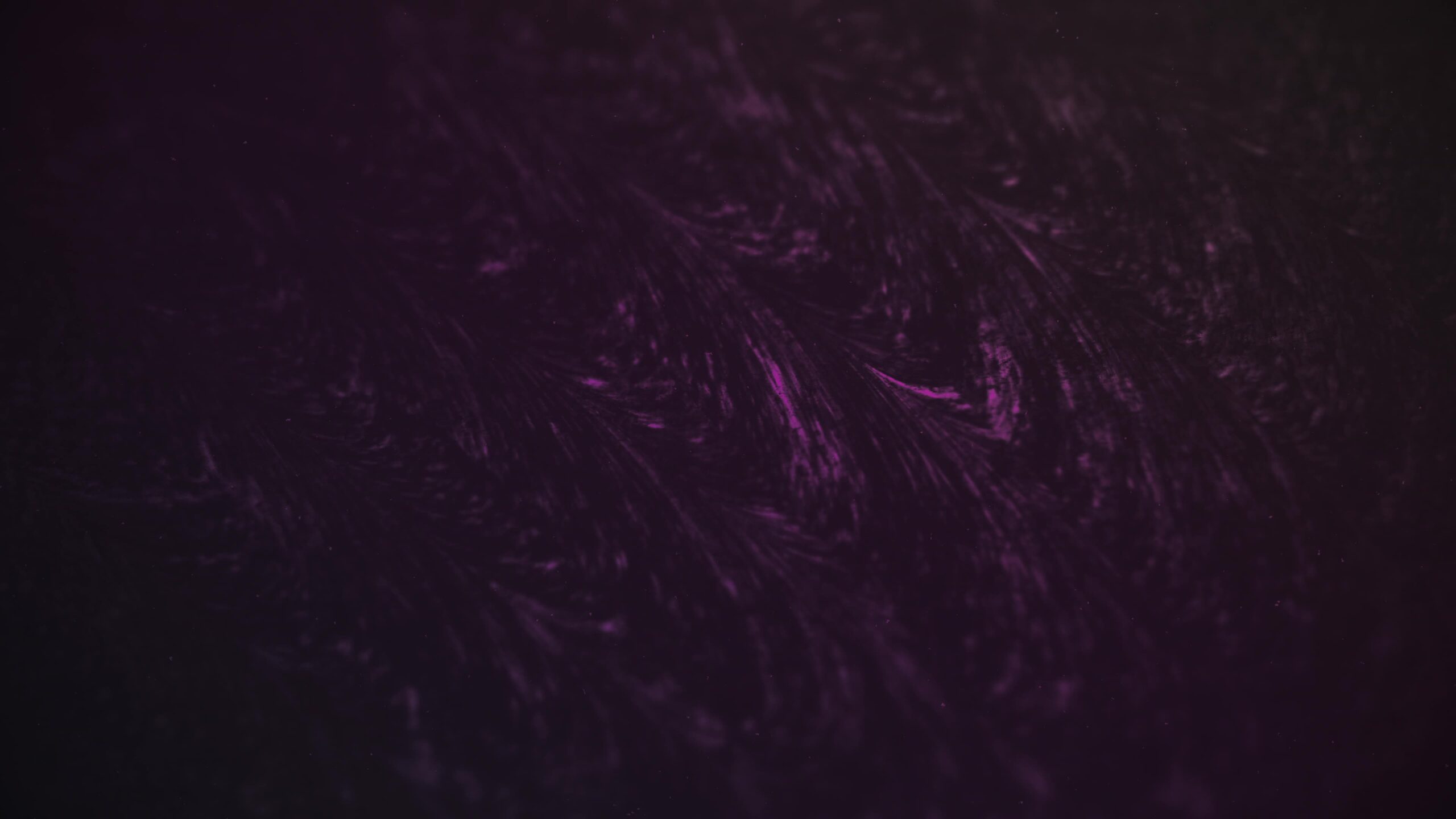 Dark-distortion-1-color