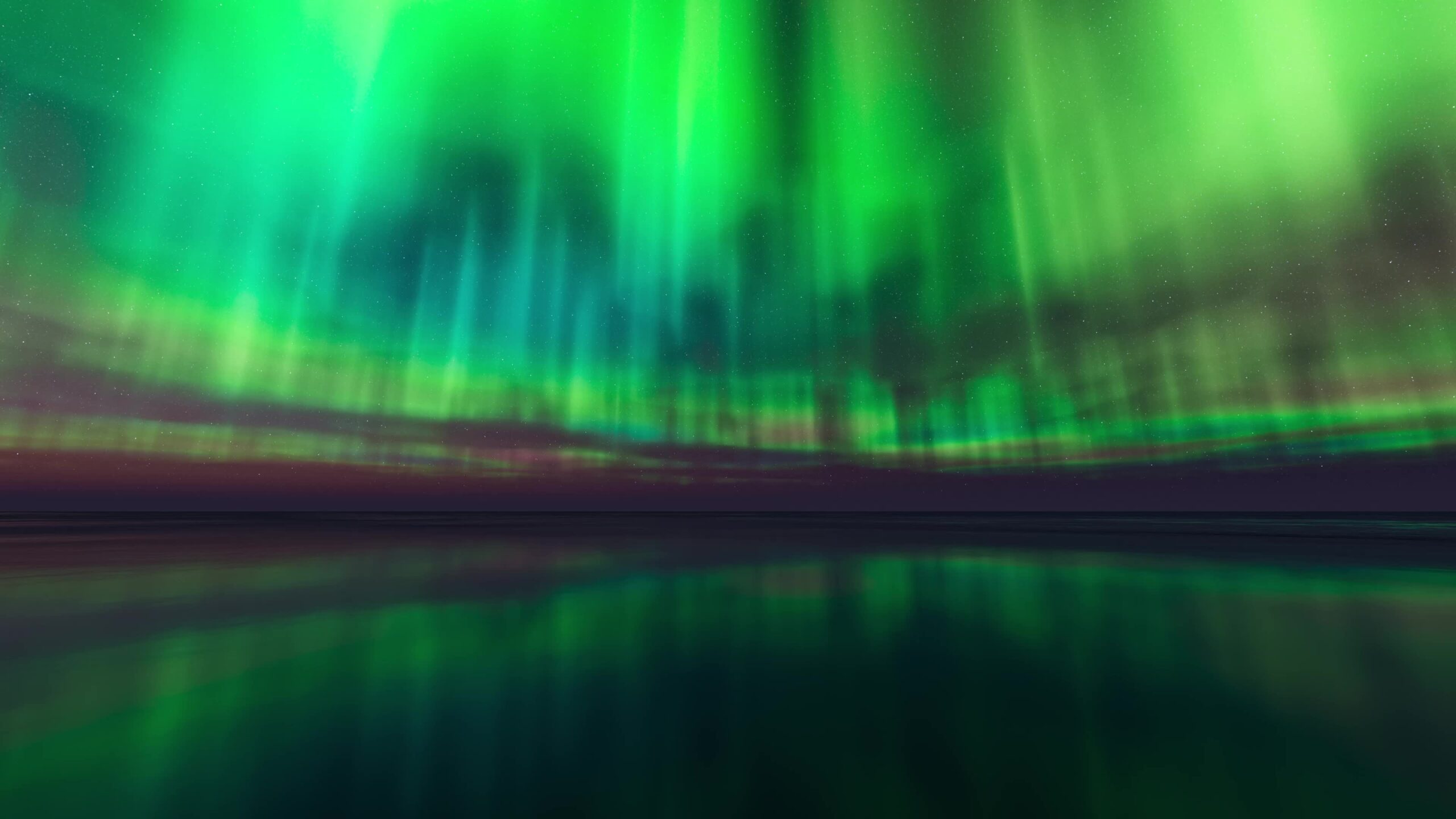 Adoración Aurora_Loop