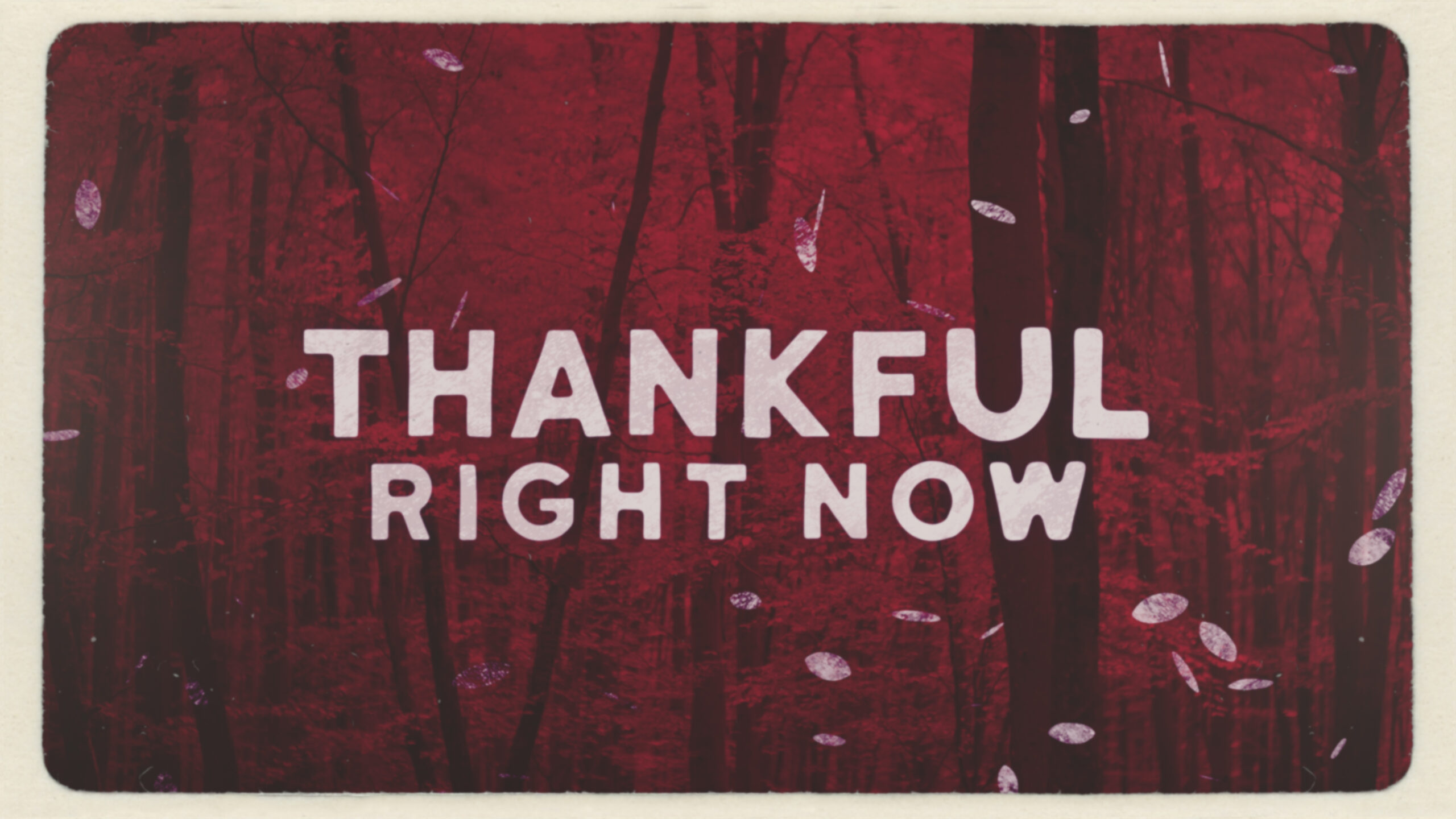 Thankful Right Now Worship Service Intro | Story Loop