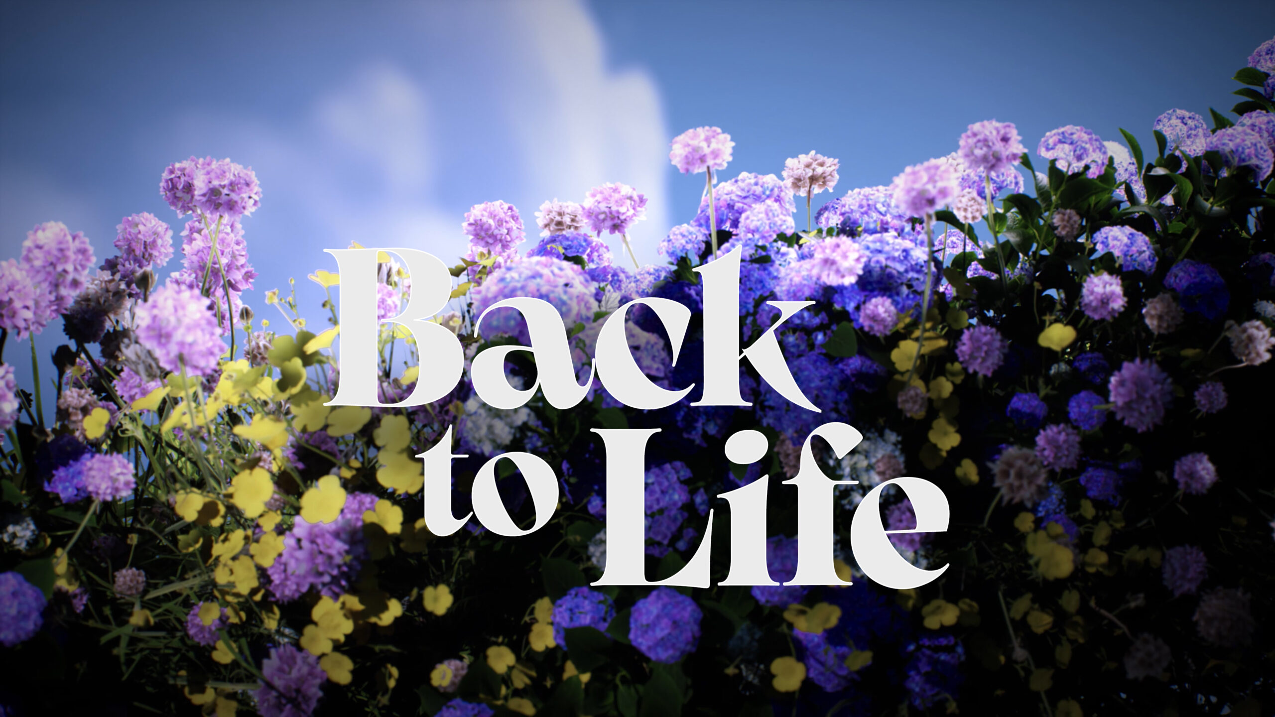 Back To Life - Editable Sermon Series Graphics | Story Loop