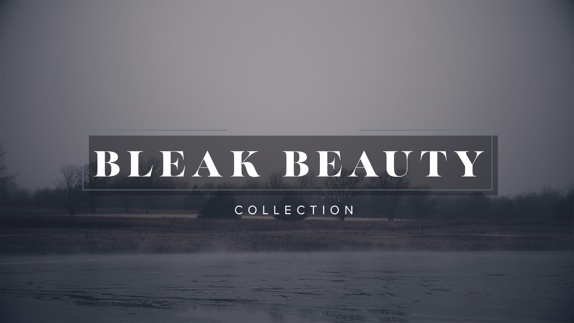 Bleak Beauty - Story Loop