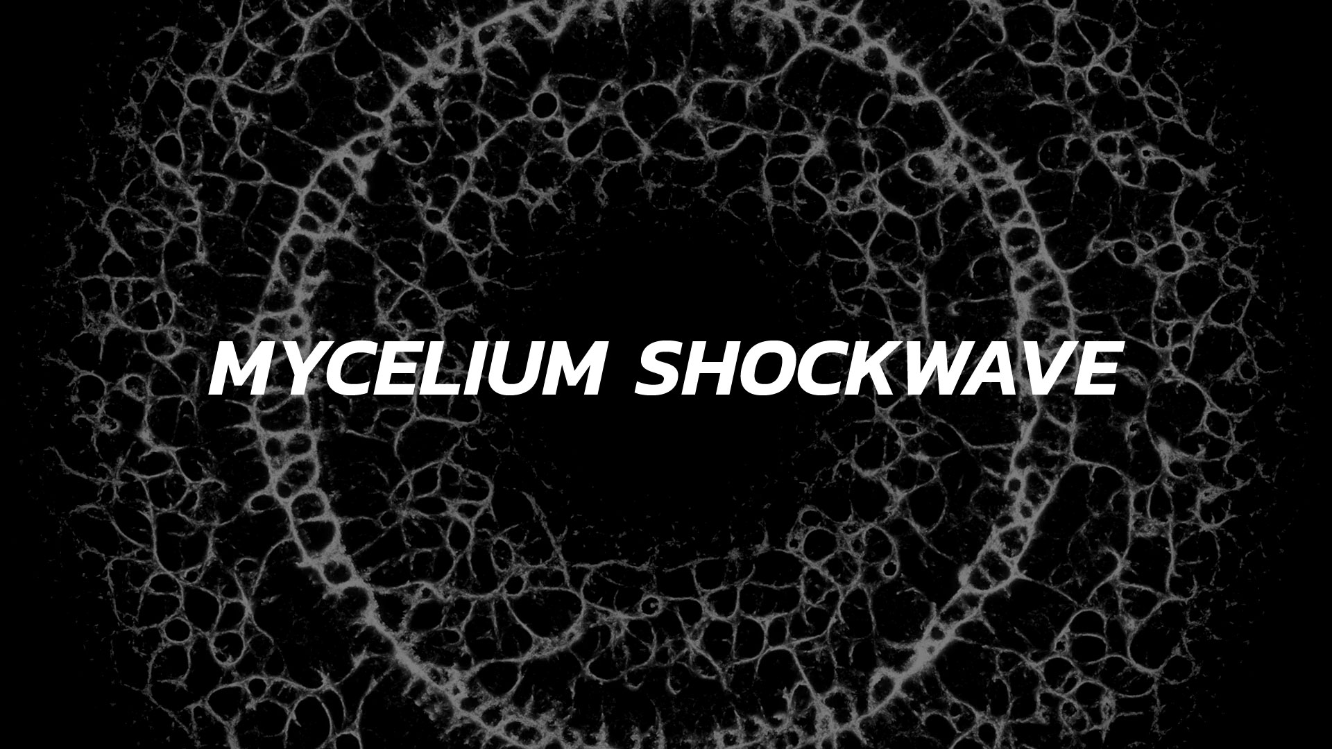 Mycelium Shockwave, Stock Footage Creator Resource