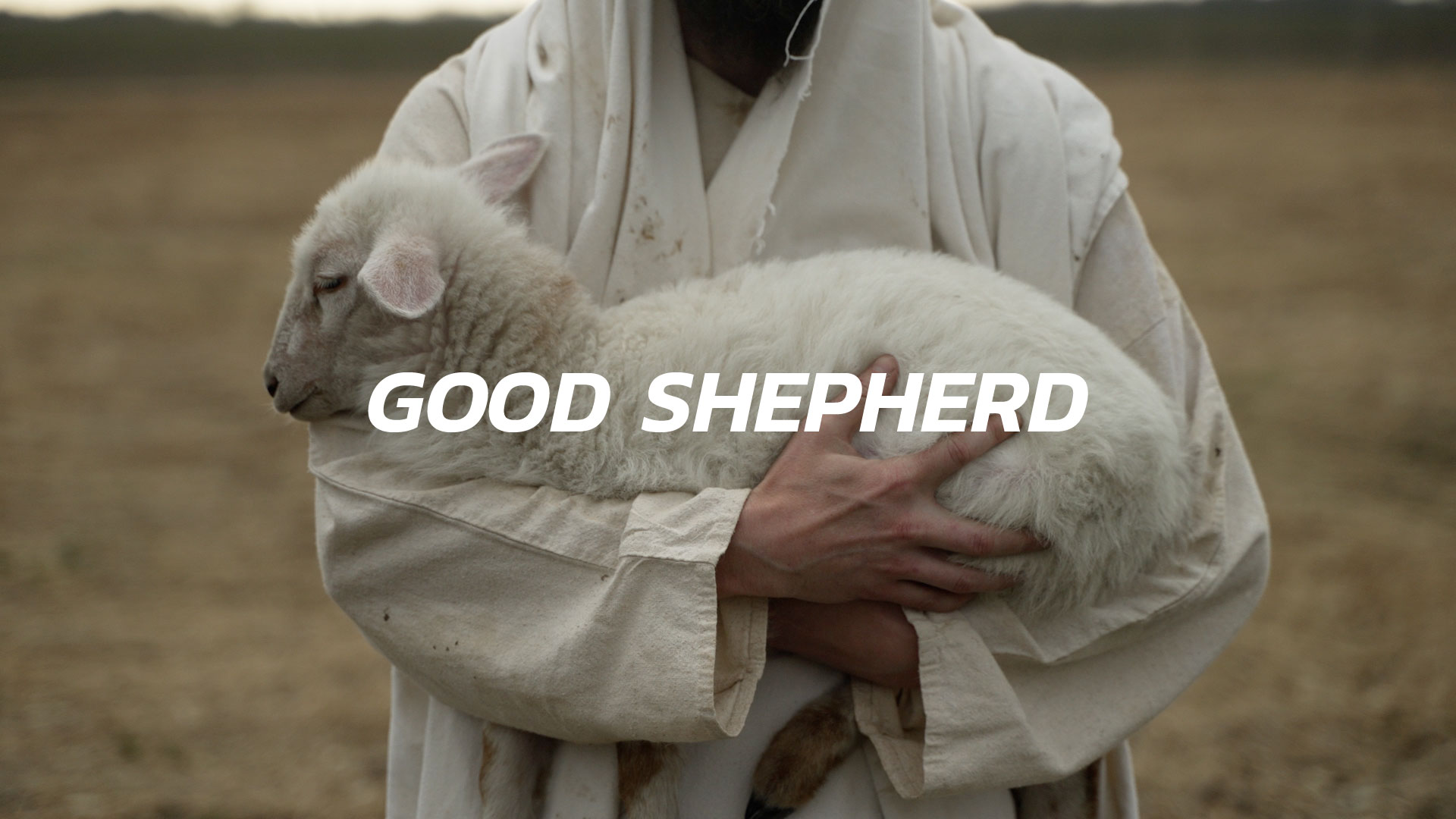 The Good Shepherd | Stock Footage | Story Loop