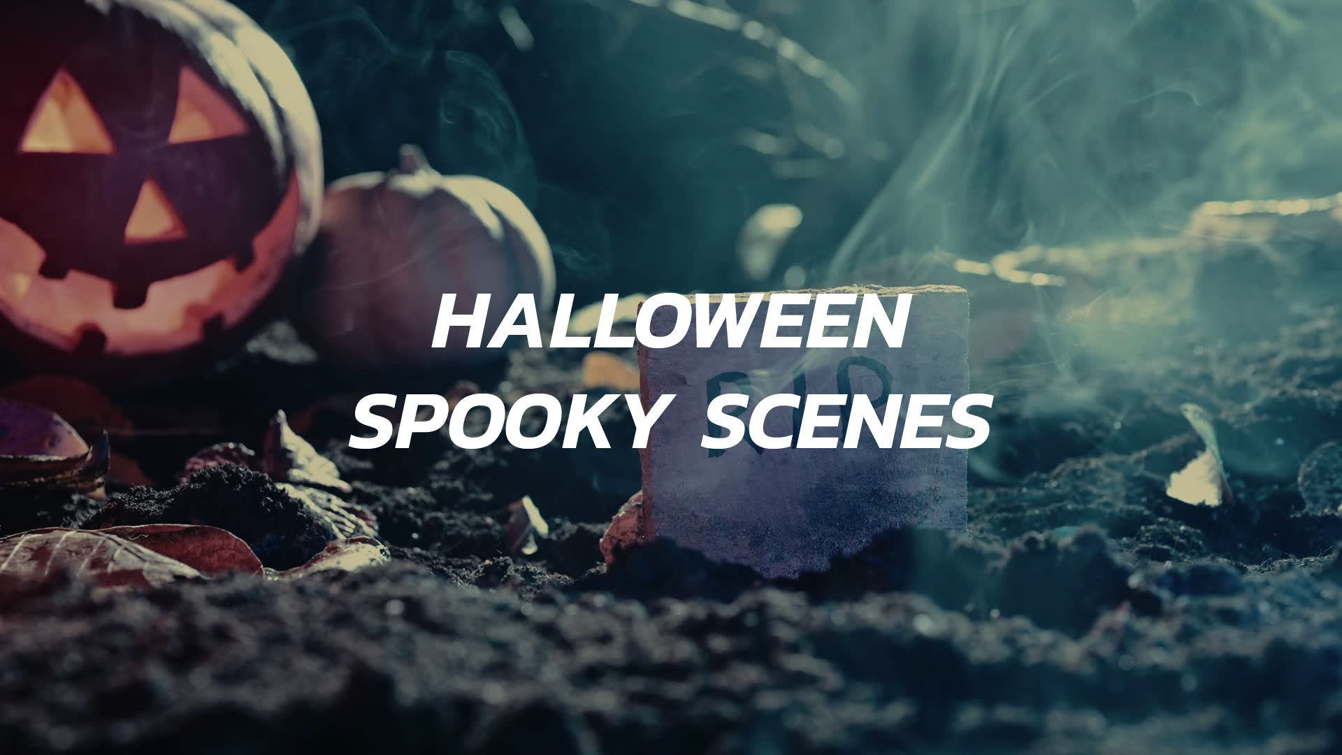 Halloween Spooky Scenes | Stock Footage Collection