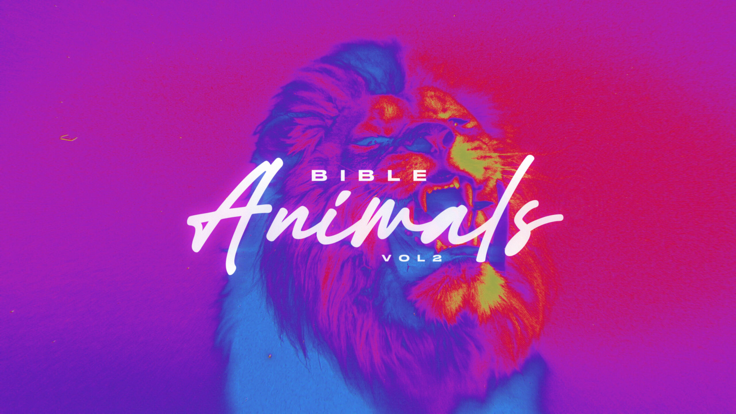 Bible Animals Vol 2 - Stock Footage Resources | Story Loop