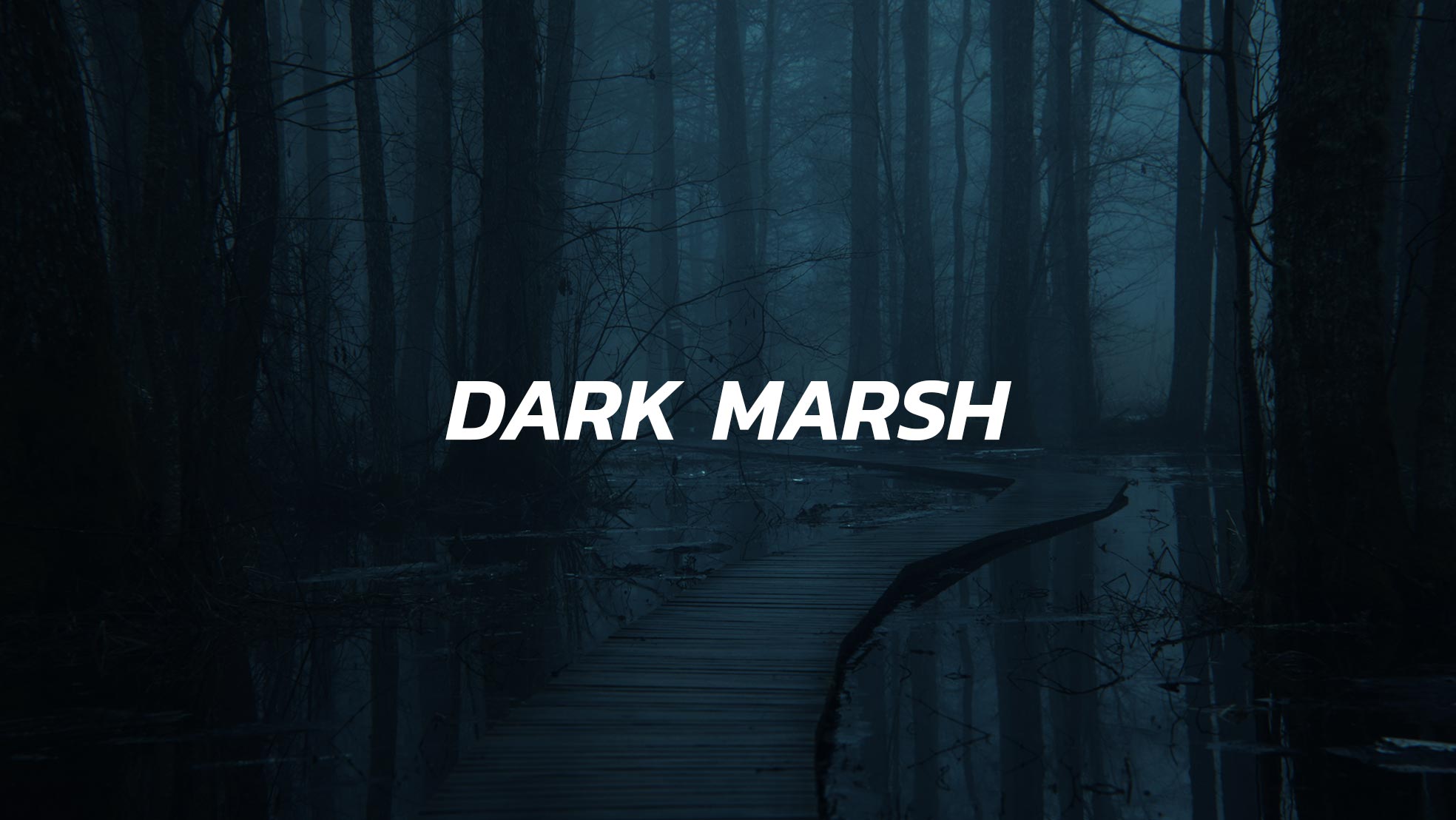 Dark Marsh | Stock Footage | Story Loop