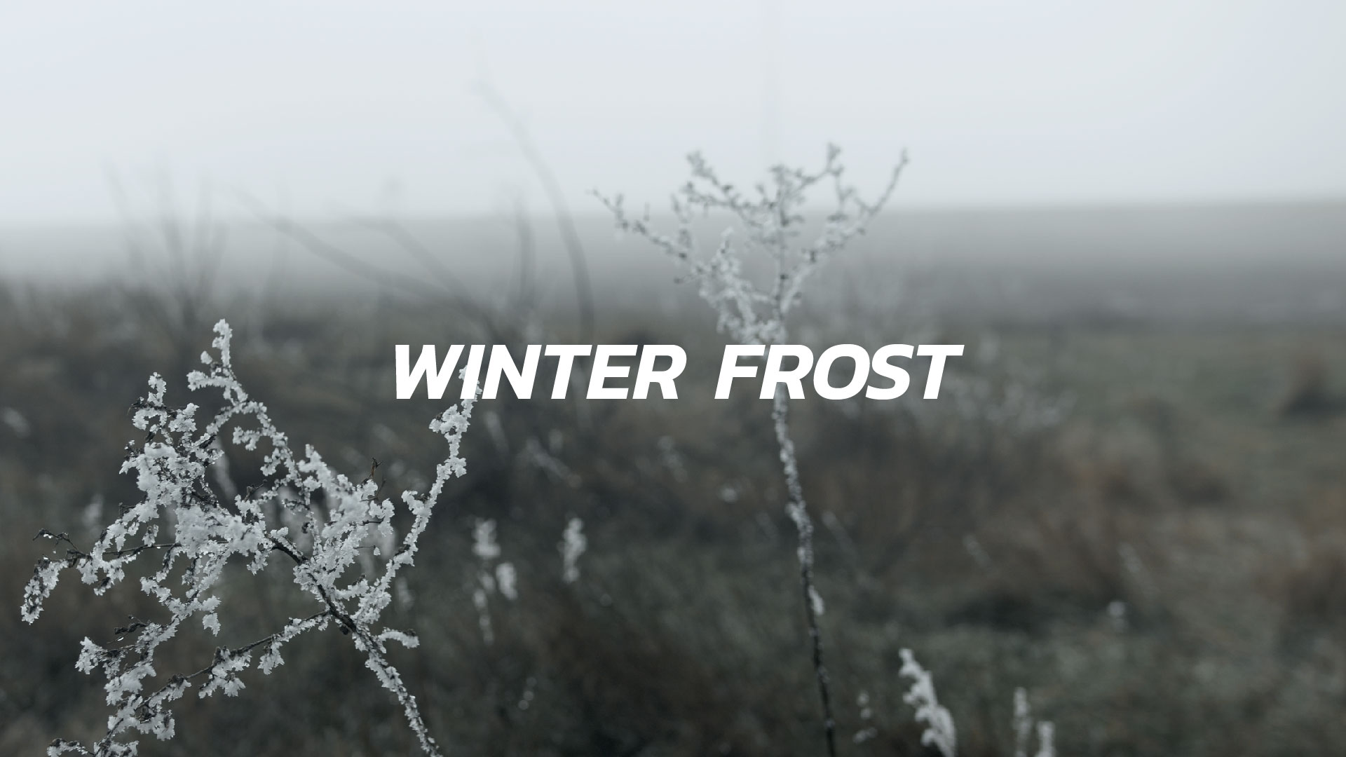 Winter Frost | Stock Footage | Story Loop