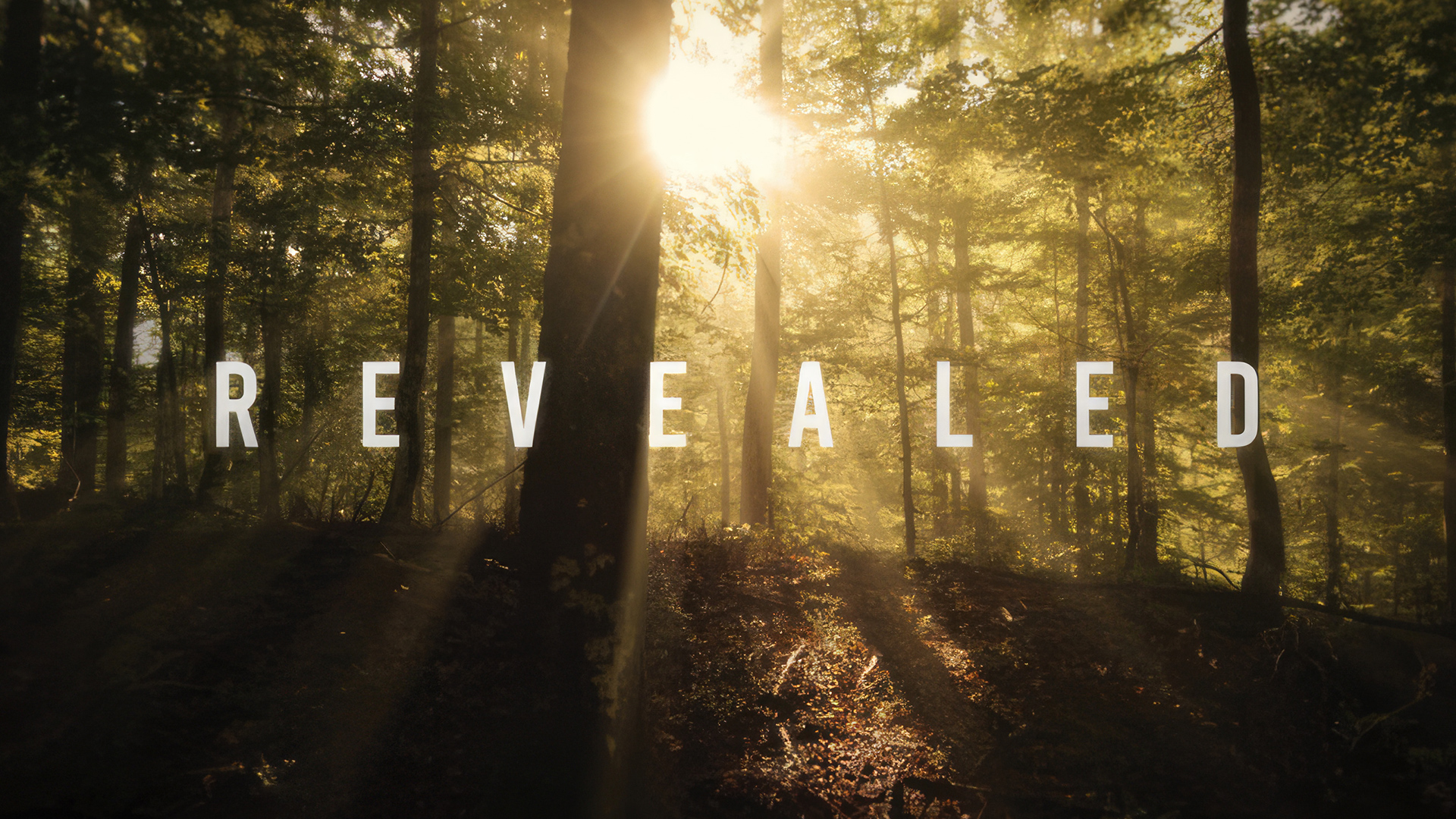 Revealed - Church Mini Movie | Story Loop