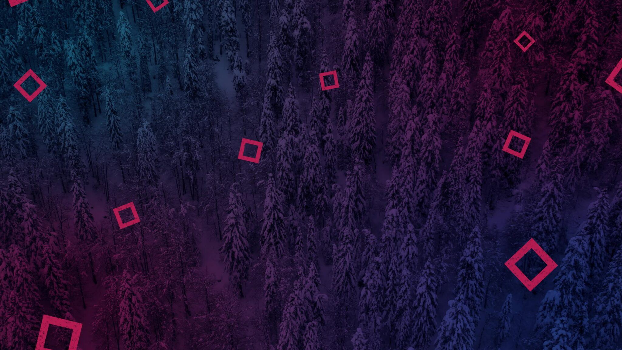 Winter Wonderland - Story Loop